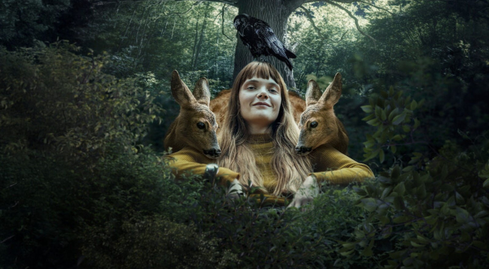 Filme gratis la festivalul CinePOLSKA, doar pe TIFF Unlimited ...